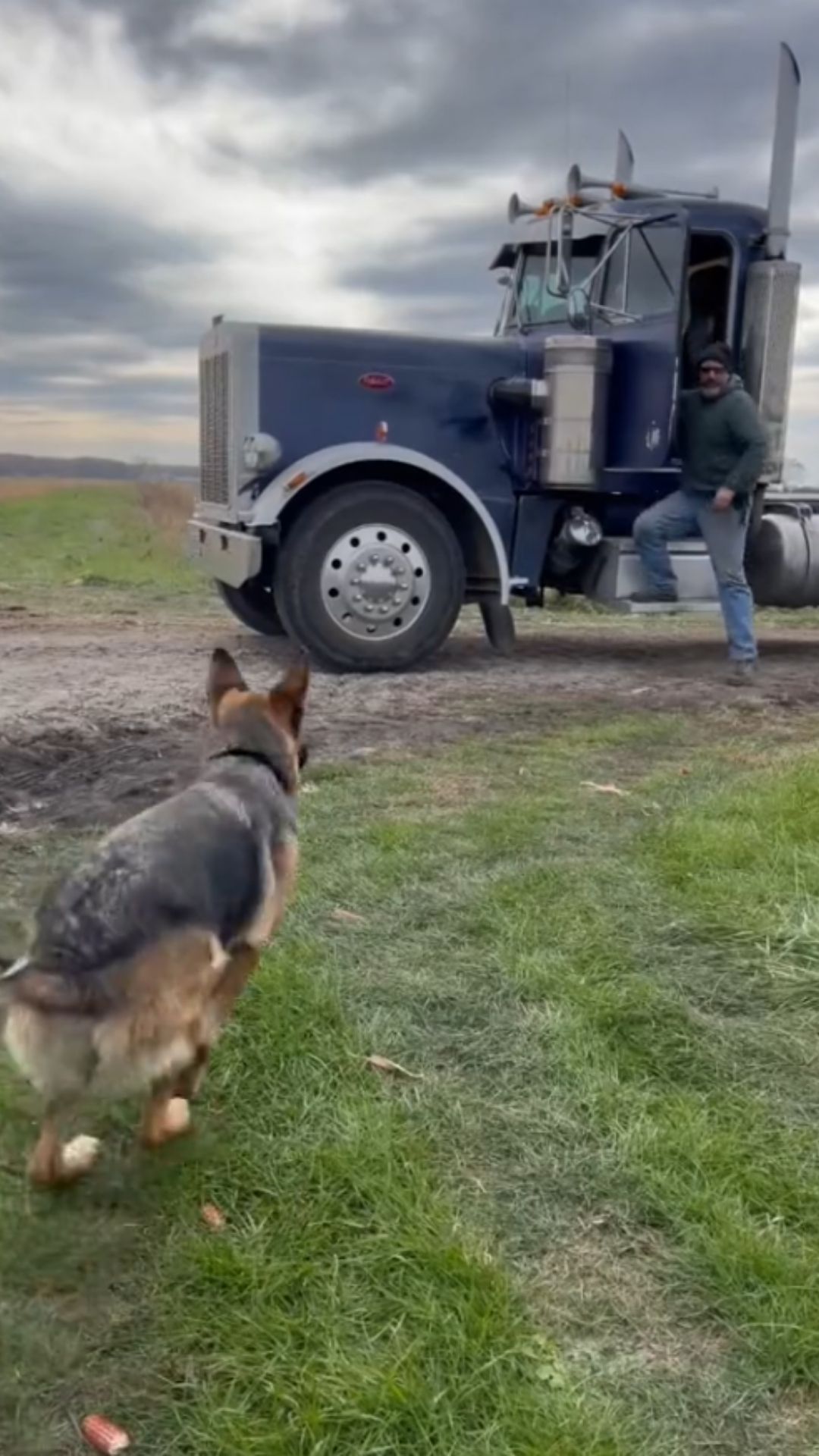 Best friends German shepherd edition