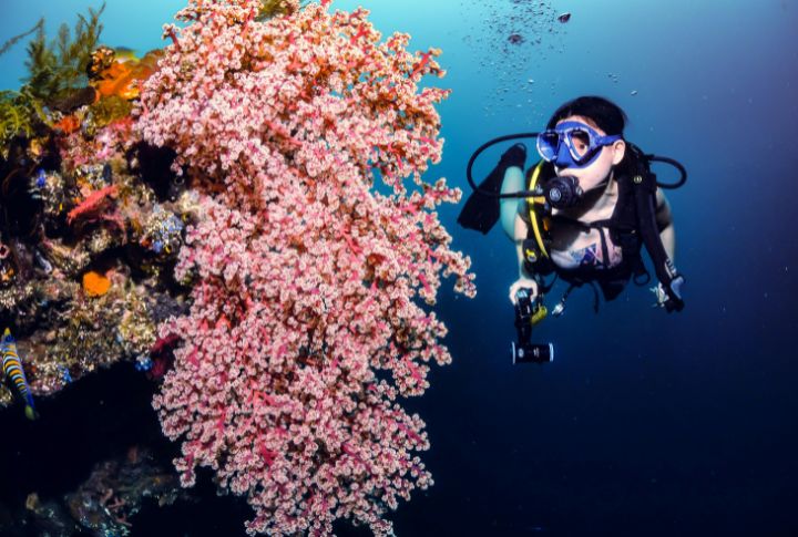10 reef destinations to add to your travel bucket list