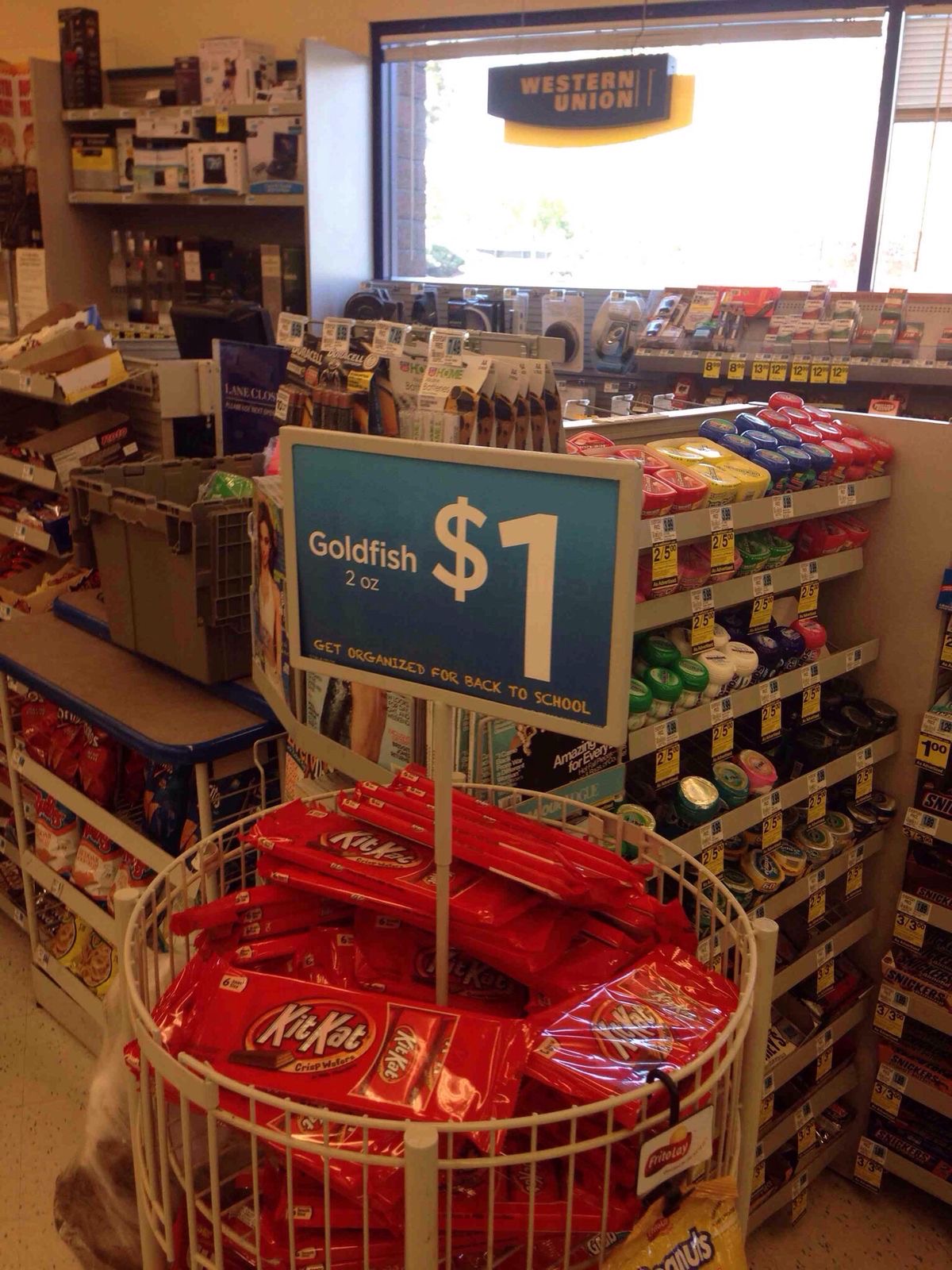 20 photos where common sense got dumped