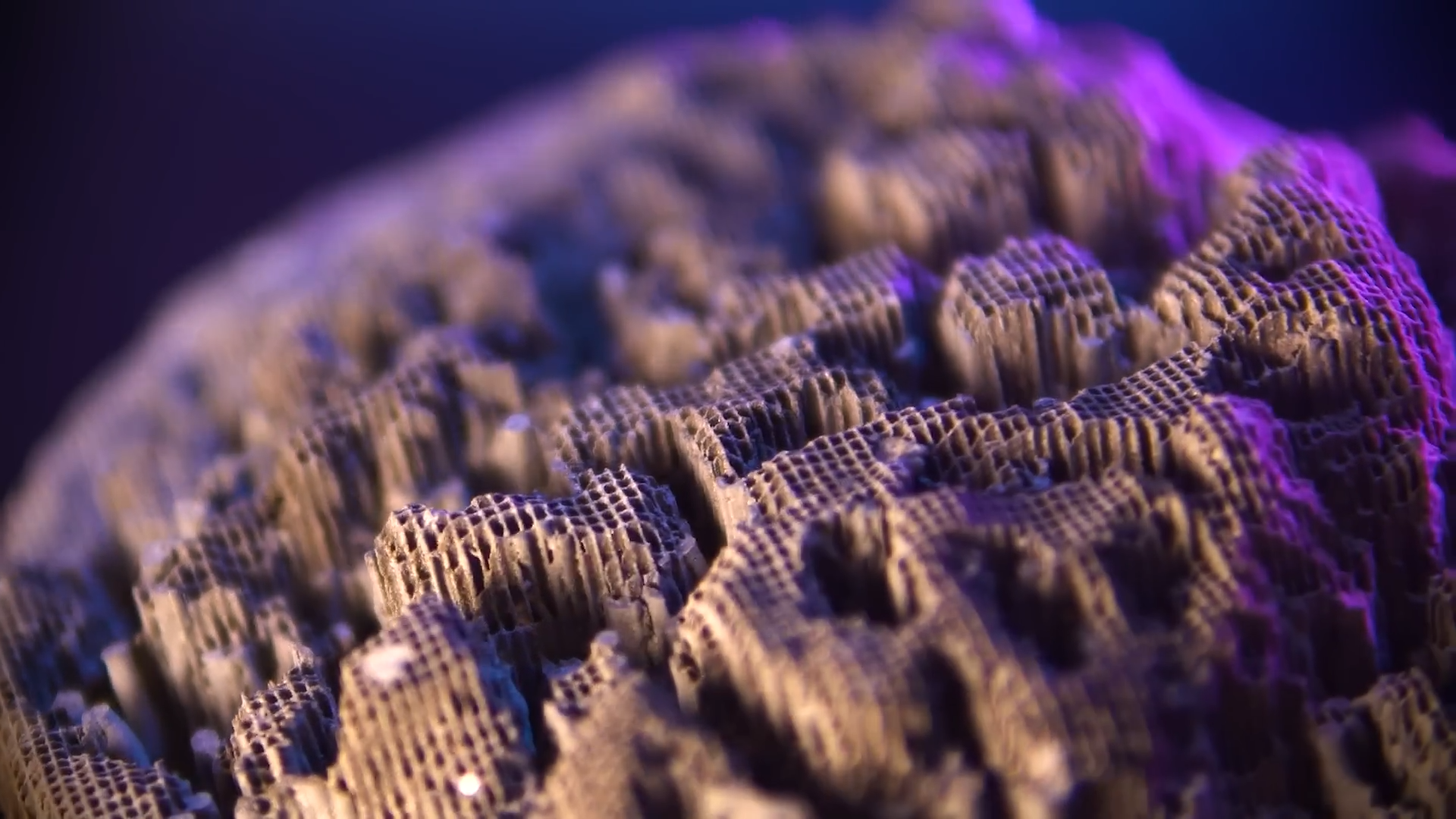 The $40 billion metal can that cleans the air