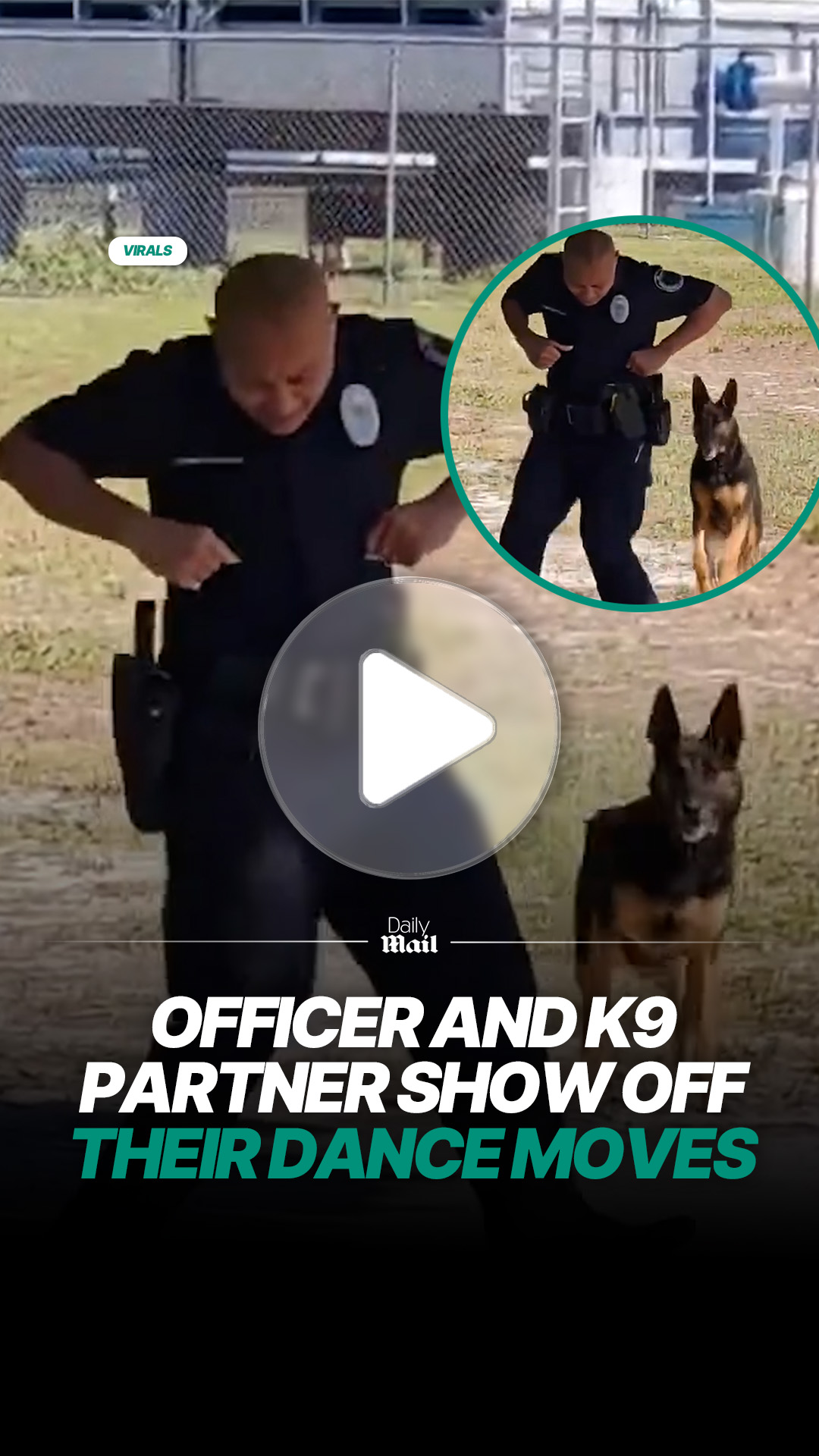 Officer and K9 partner share playful dance moment