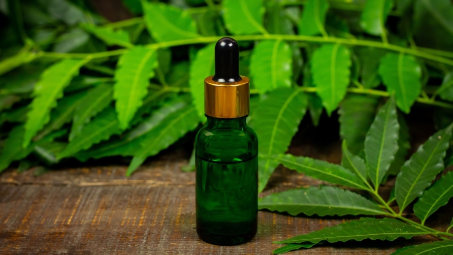5 neem oil mistakes that hurt your plants