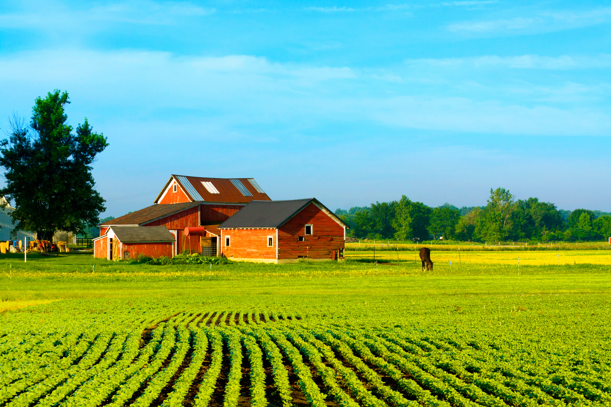 19 oldest continually running farms in America