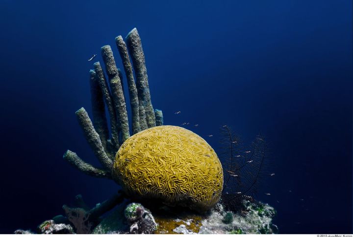 10 reef destinations to add to your travel bucket list