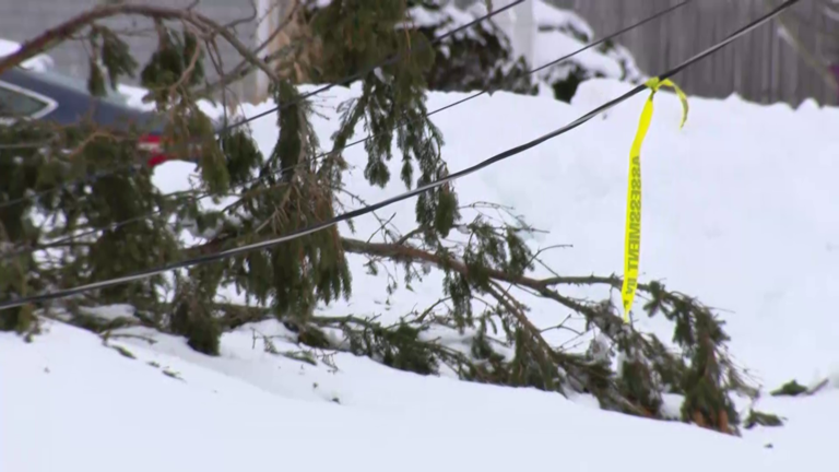 Cape Cod still dealing with significant power outages after blizzard