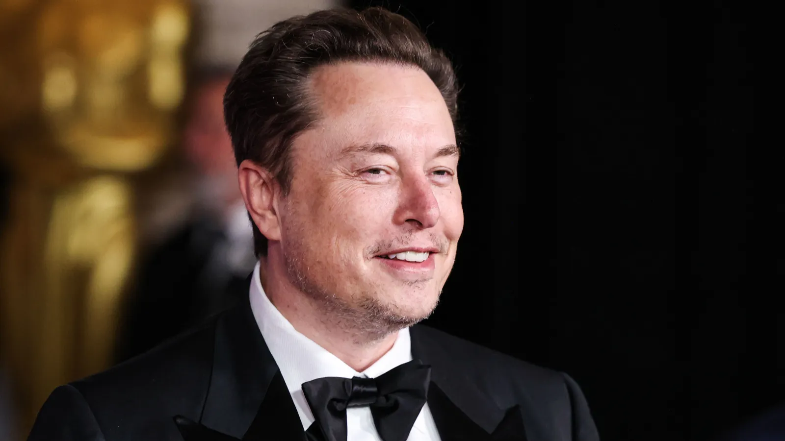Elon Musk’s XAI pauses water plan as Memphis aquifer fears grow