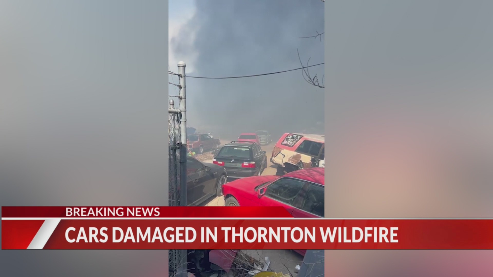 'Flames jumped car to car': Auto shop owner recounts grass fire in Thornton
