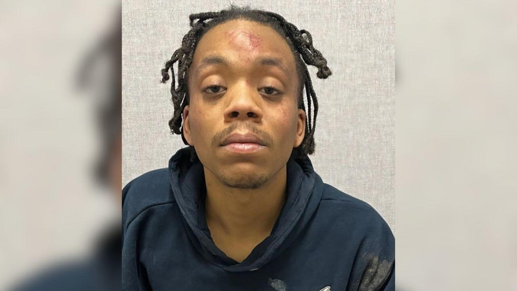 Man declared incompetent after allegedly killing elderly philanthropist ...