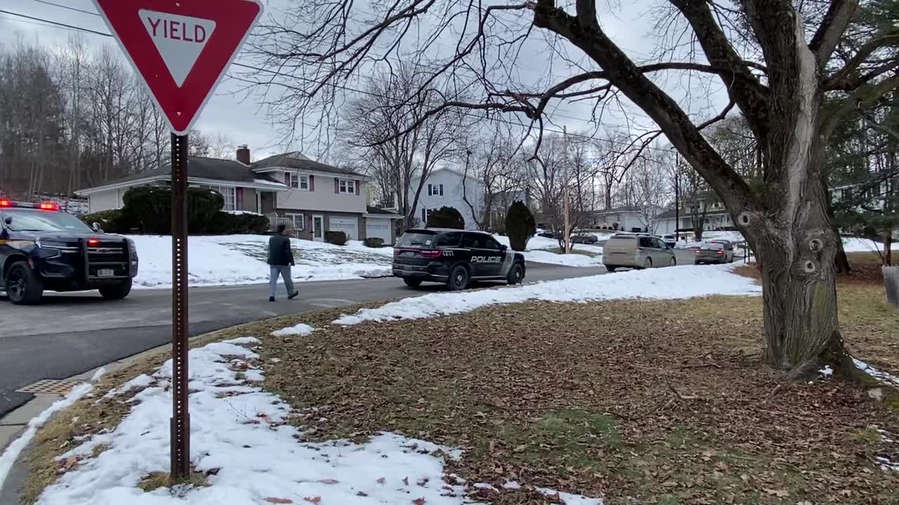 Police investigate crime in Vestal