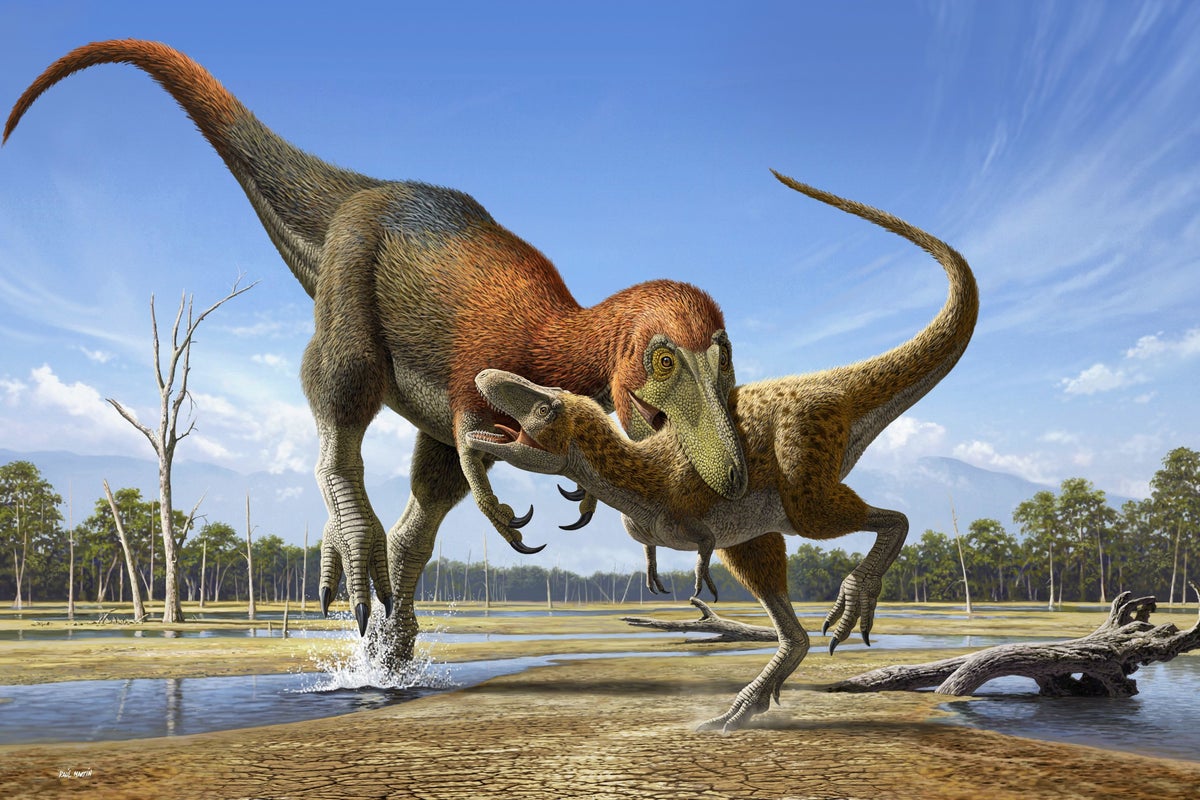 T rex could beat Usain Bolt by running on its tip-toes, study finds