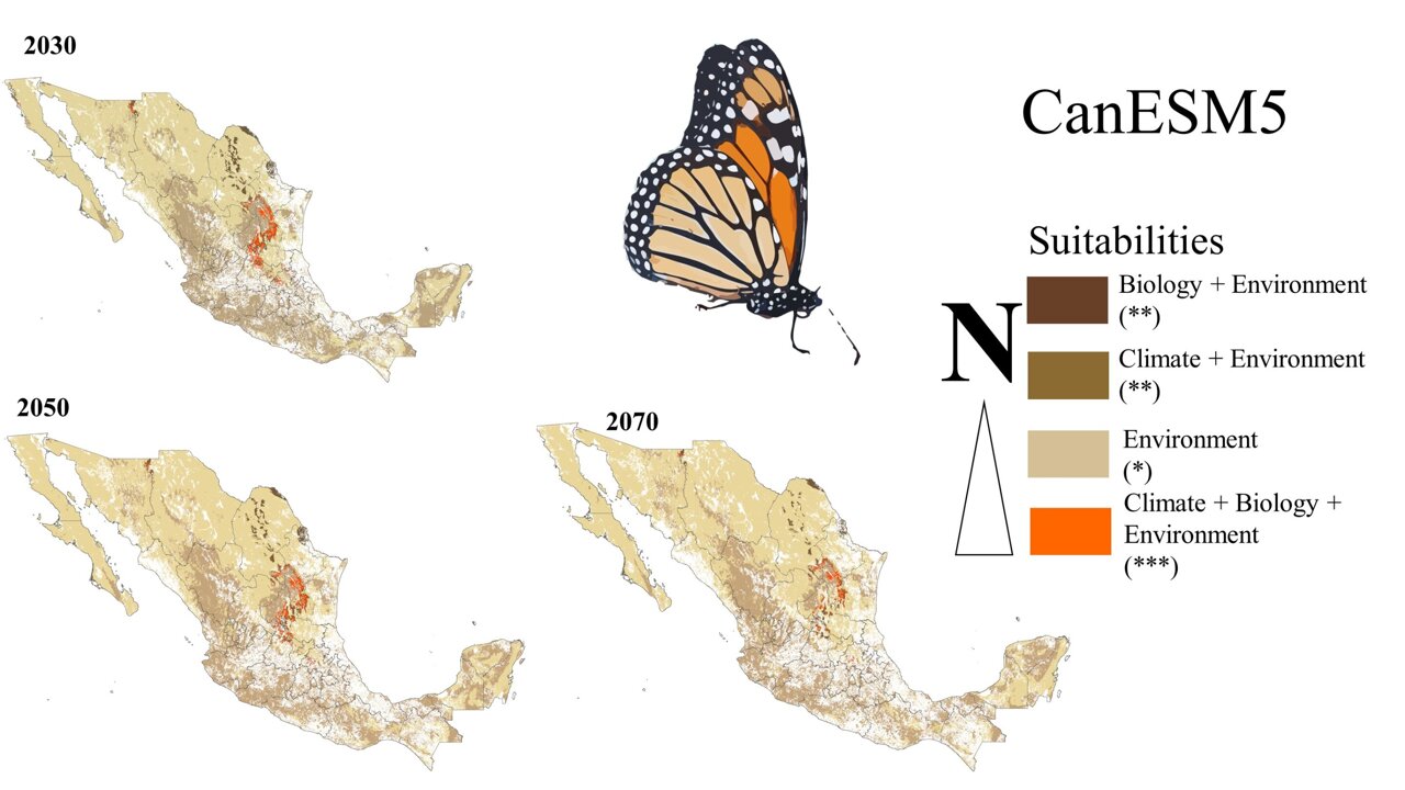 Climate change could fragment habitat for monarch butterflies ...