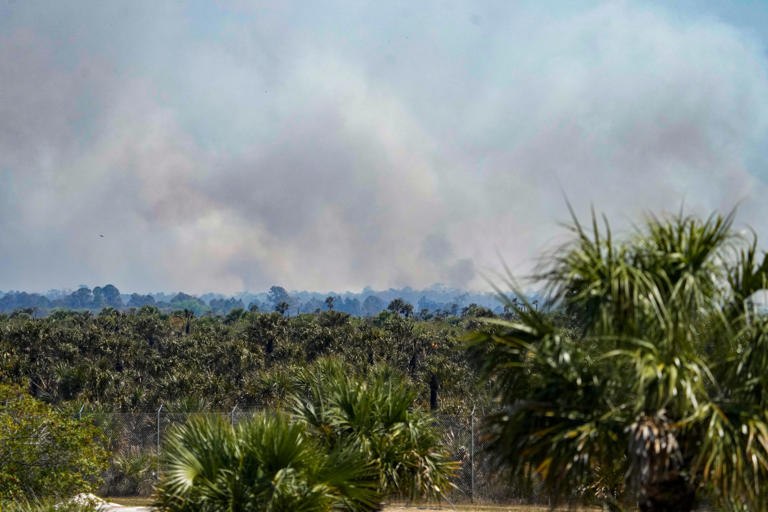 Officials believe human-caused fire at Big Cypress National Preserve