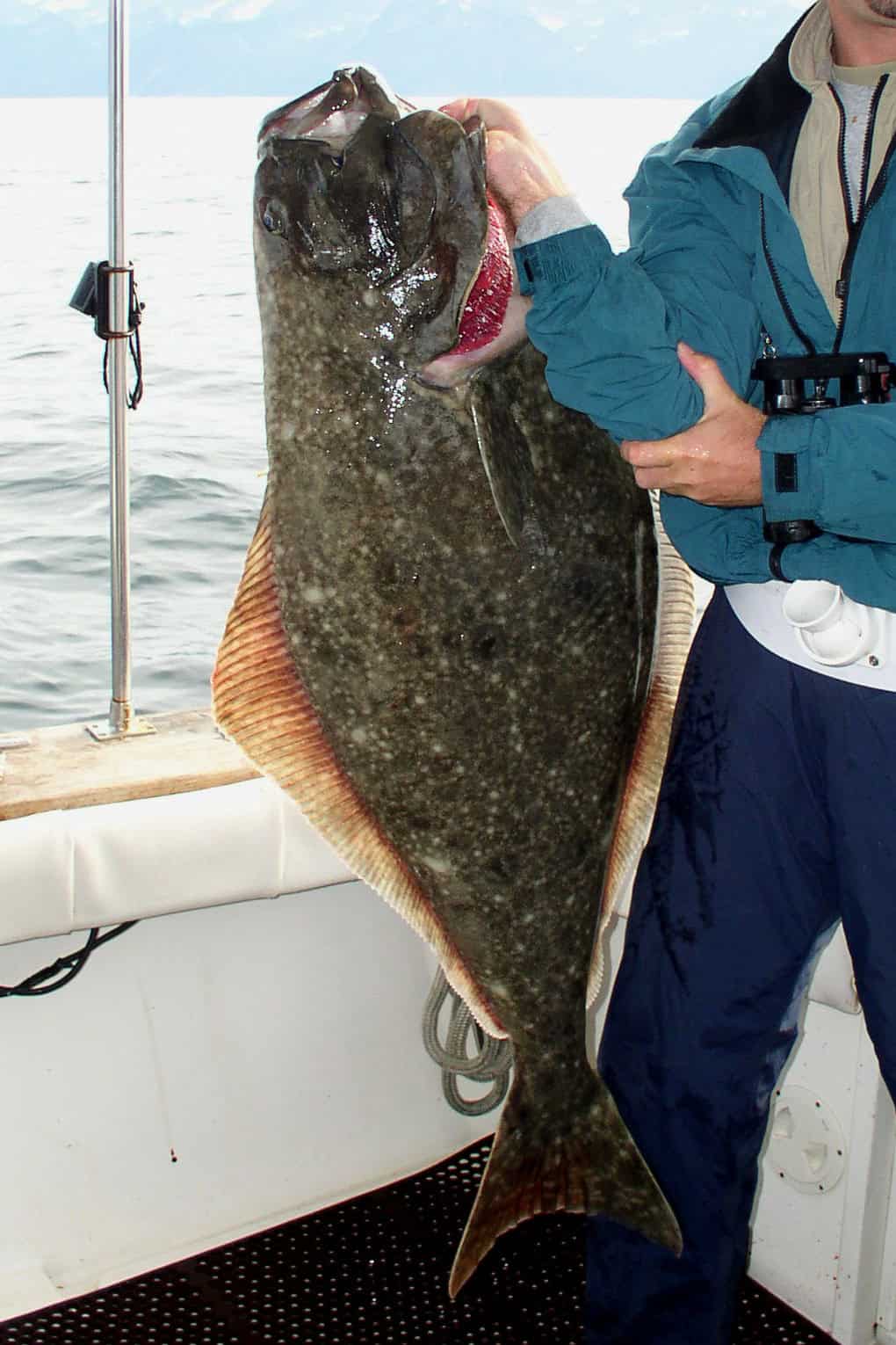 10 Biggest Fish Caught in the Pacific North West