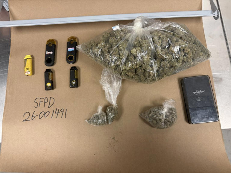 Wisconsin traffic stop yields 340g of marijuana, passenger admits to ...