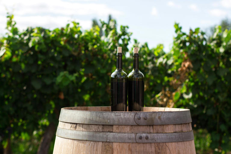 Our 10 favorite California wine festivals!