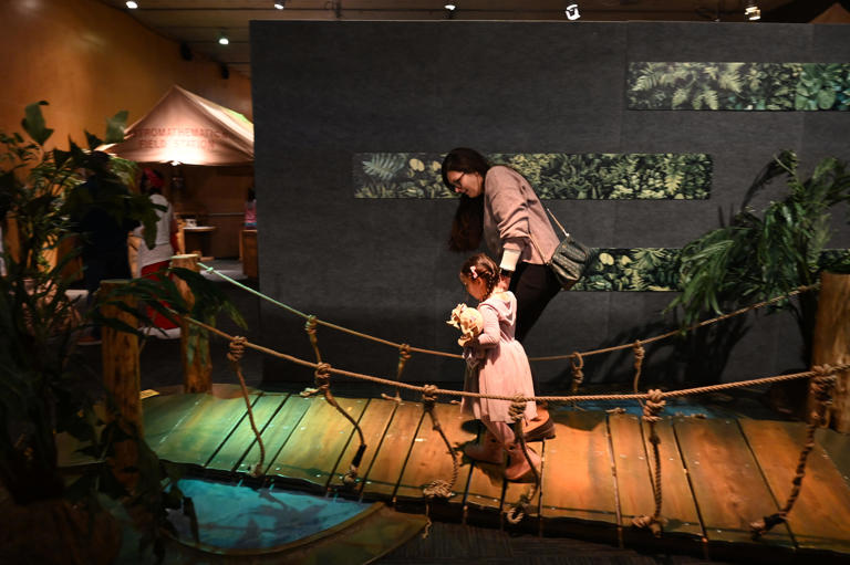 Mayan culture explored in new Cranbrook science exhibit