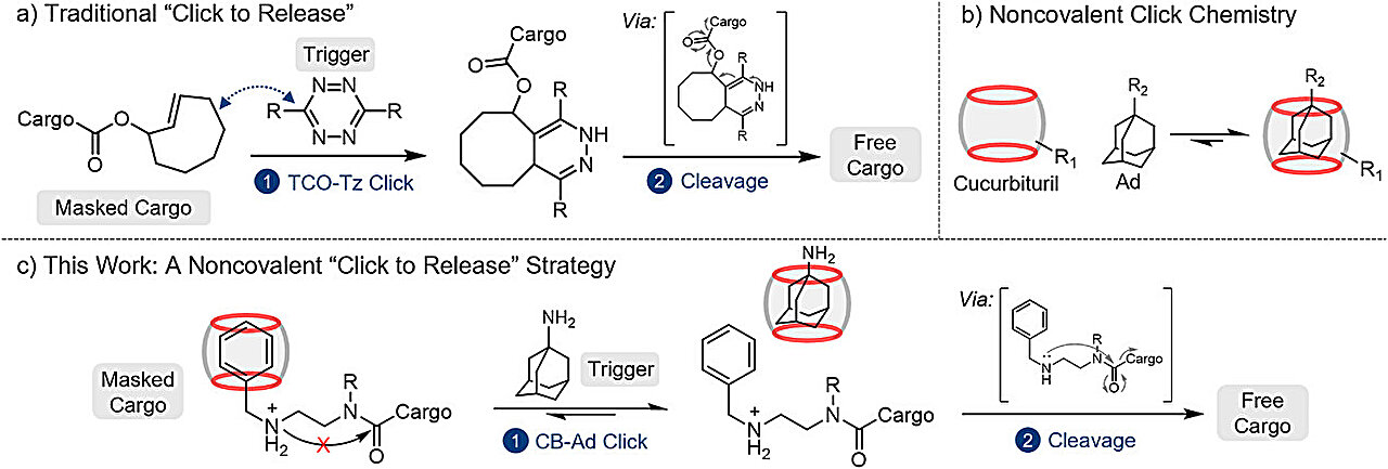 'Lock-and-key' chemistry keeps cancer drugs inactive until they reach ...