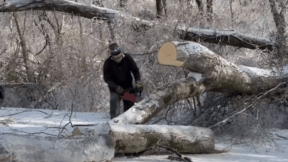 NES announces major changes to tree trimming after winter storm