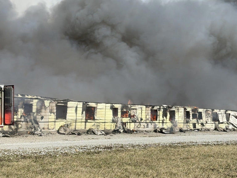 Massive fire at commercial farm kills over 6,000 pigs in Ohio