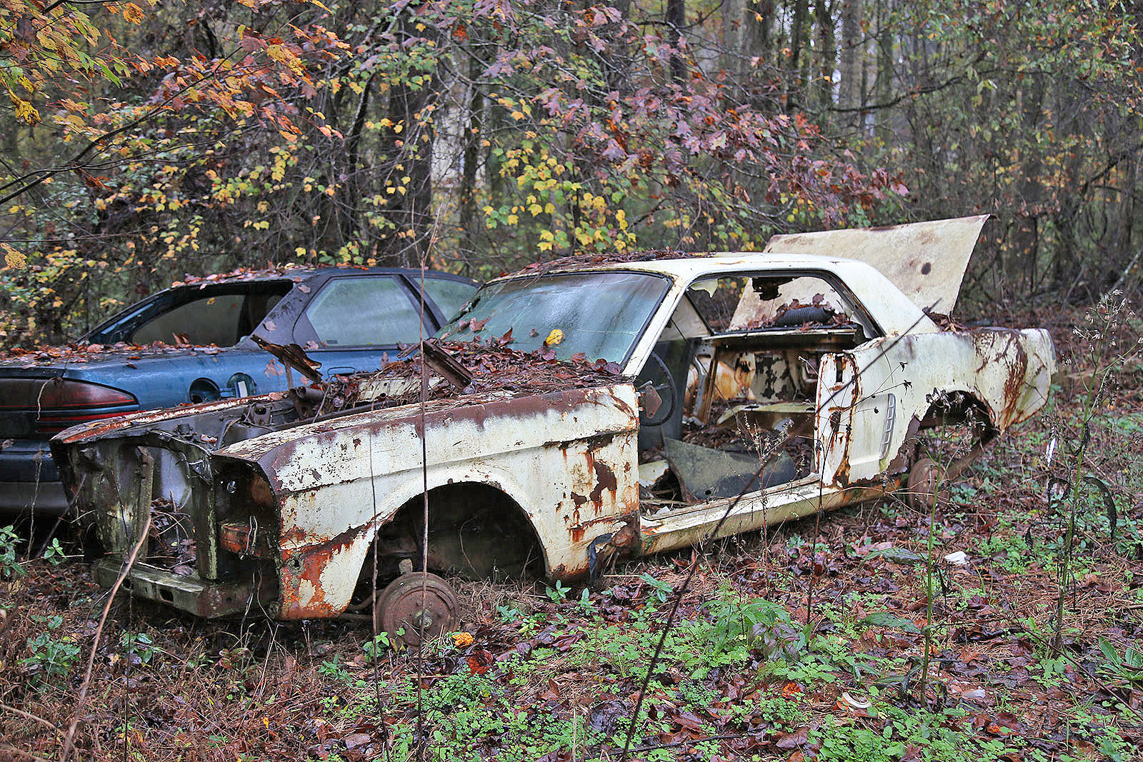 Some interesting junkyard finds at Collins Auto Salvage in Auburn, Georgia