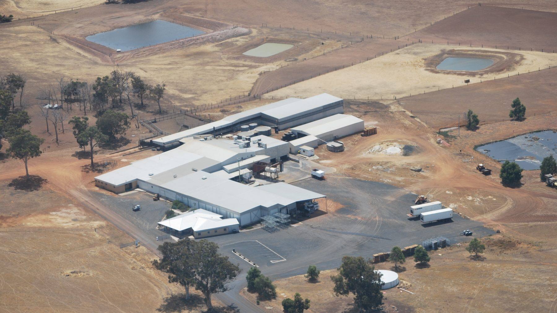 Abattoir Beaufort River Meats halts operations as $20m in live export ...
