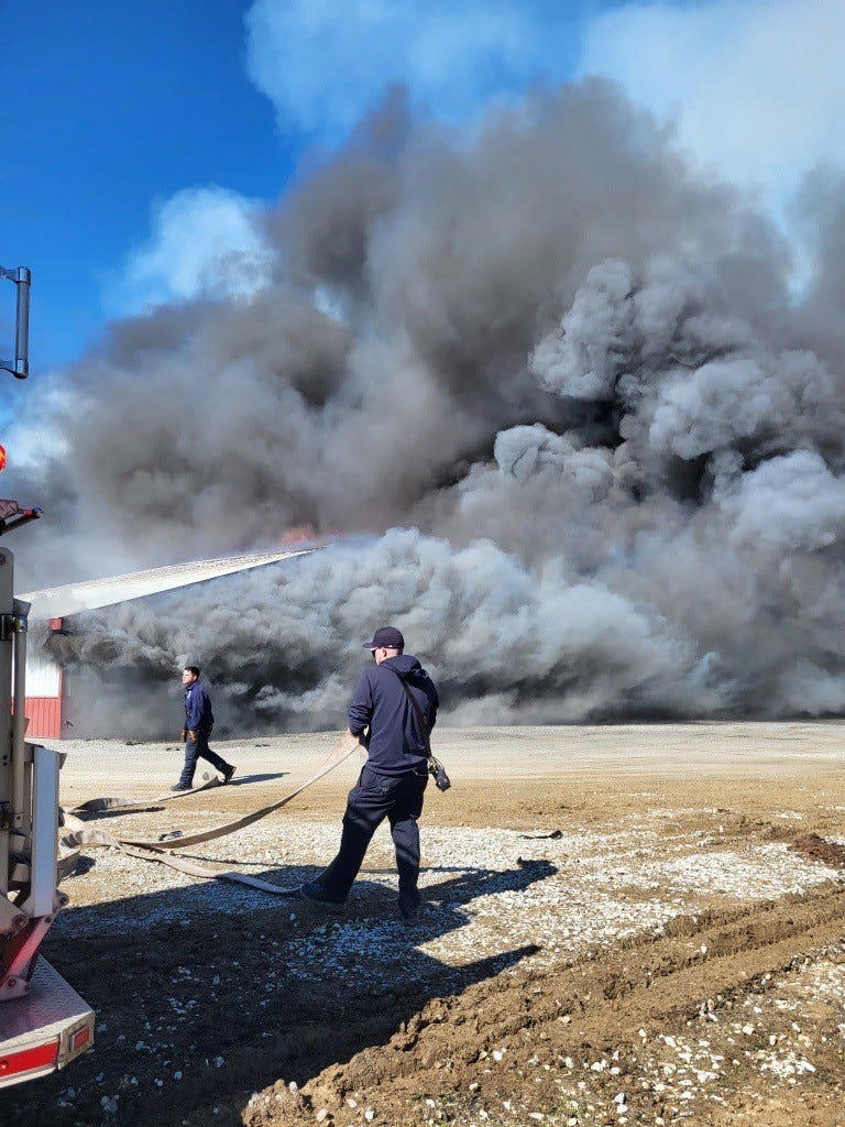 Massive fire kills about 6,000 hogs and pigs at Madison County farm