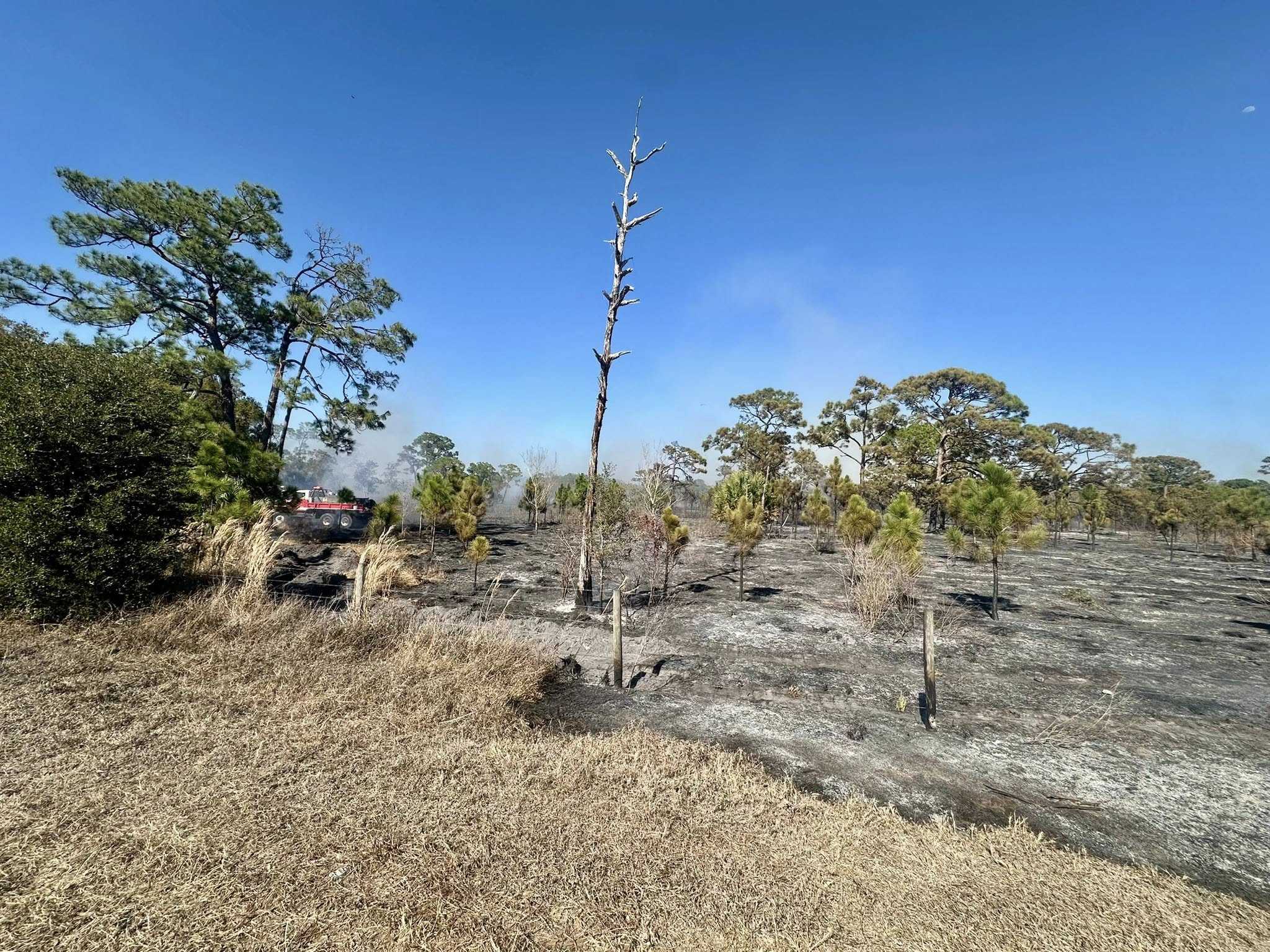 Crews battle 30-acre brush fire in Martin County