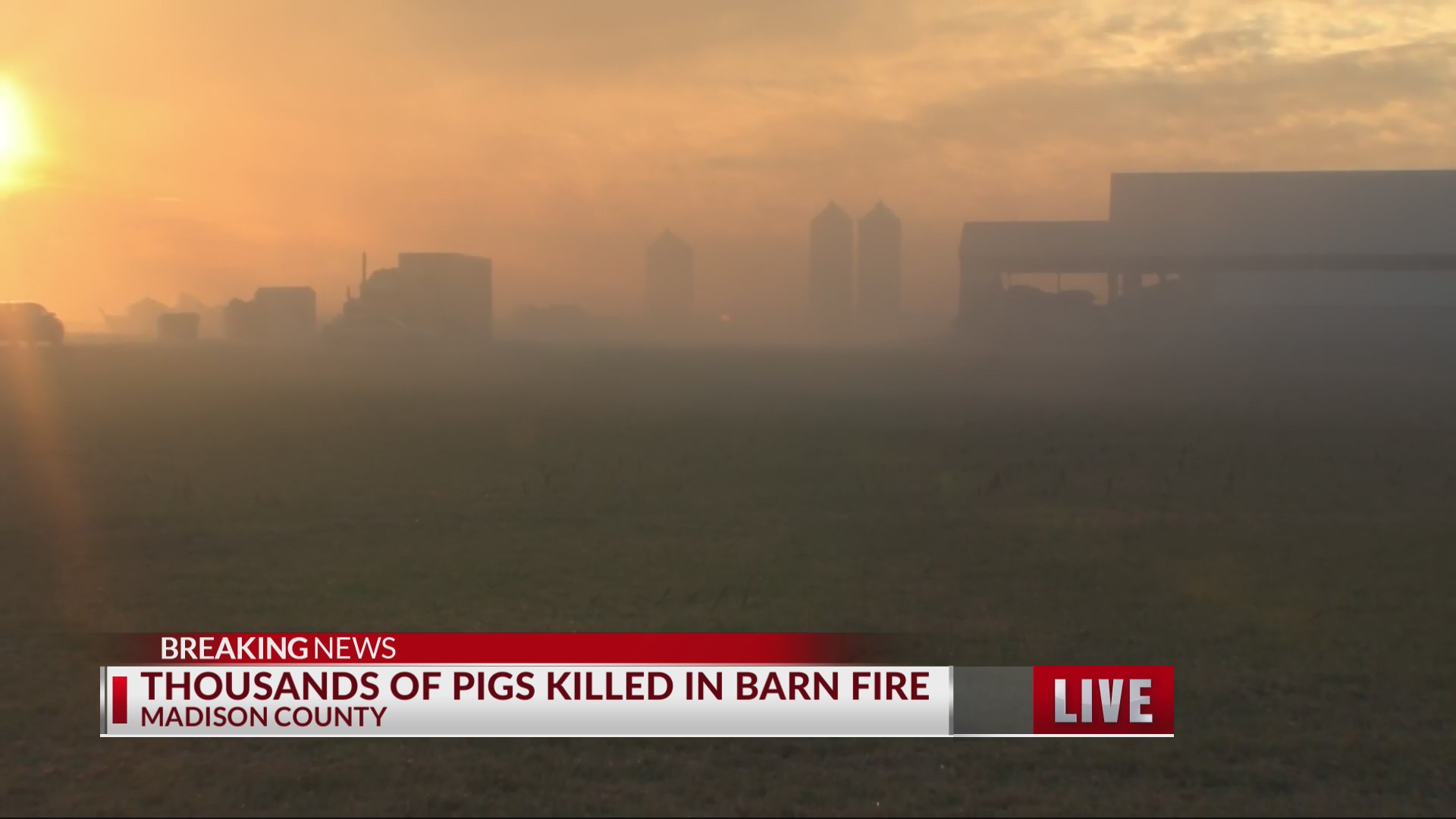 6,000 pigs killed in Madison County barn fire