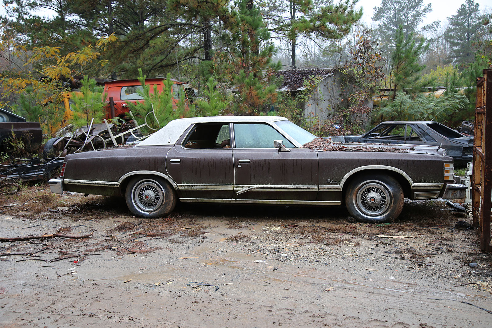 Some interesting junkyard finds at Collins Auto Salvage in Auburn, Georgia