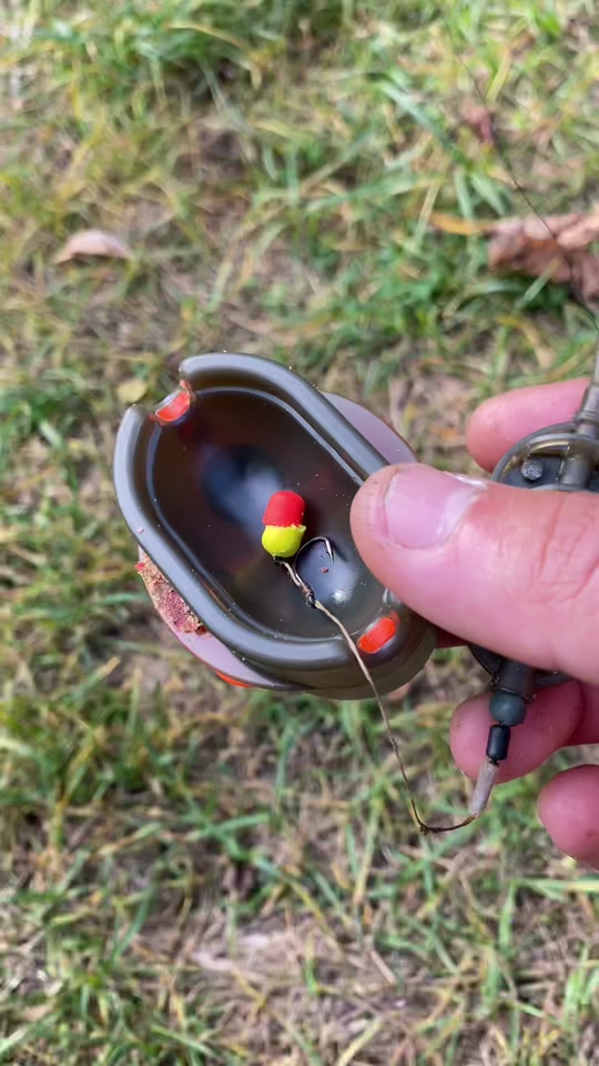 Top carp fishing techniques every angler should know