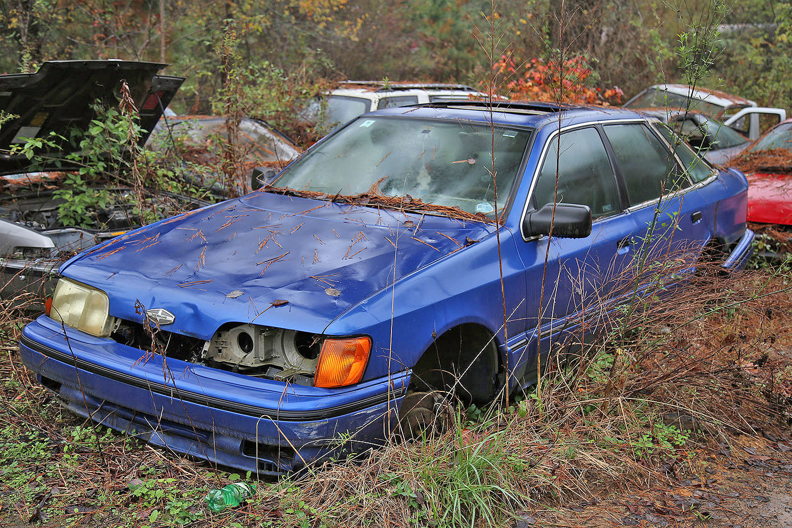 As jóias de ferro-velho da Collins Auto Salvage em Auburn, Geórgia