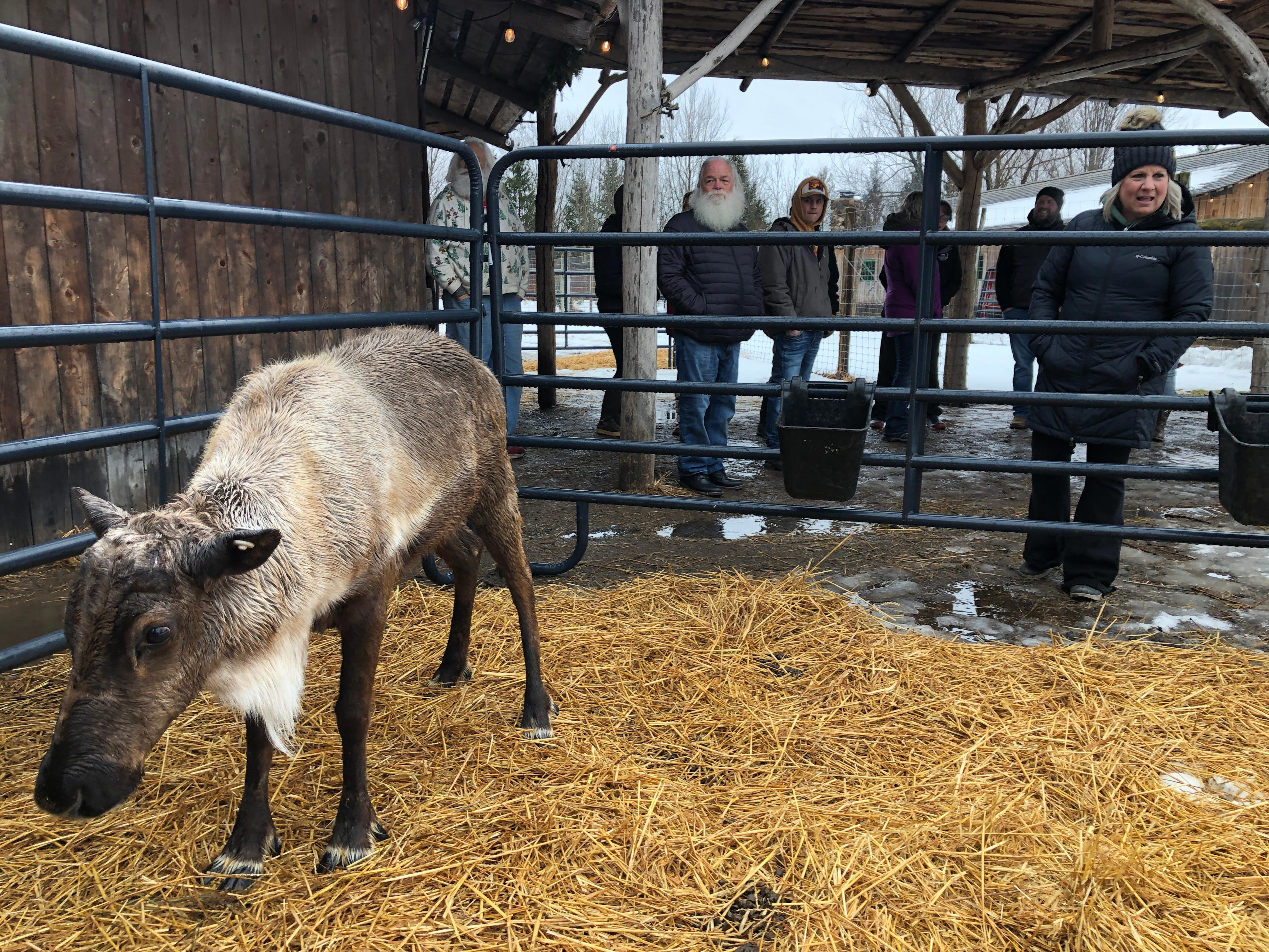 Reindeer farmers face unique challenges. How do they do it?