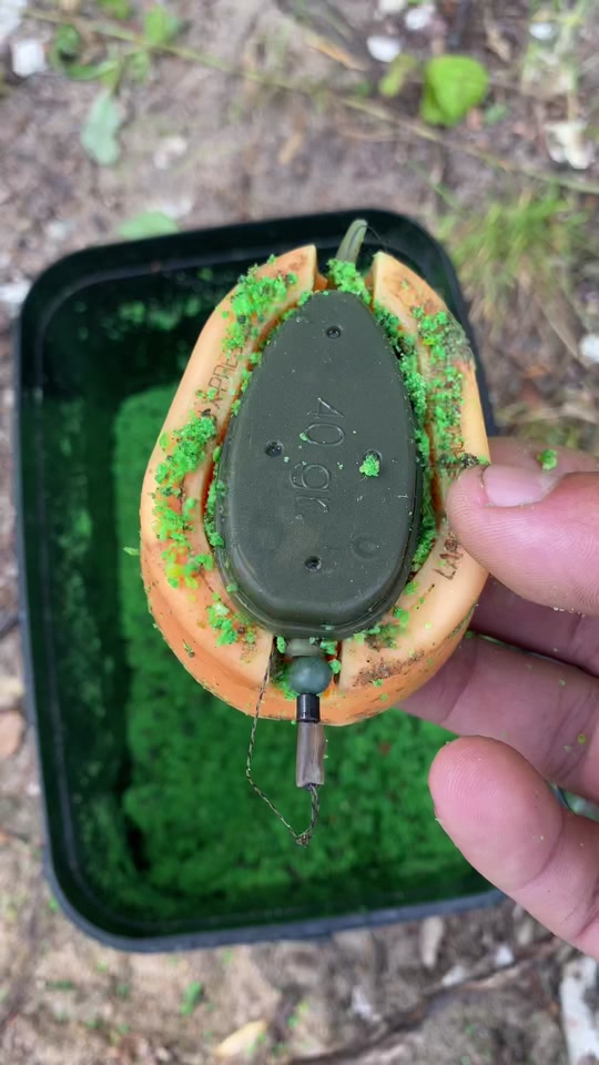 How to set up the perfect carp rig for beginners
