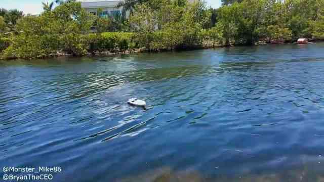 We used an RC boat to catch saltwater fish