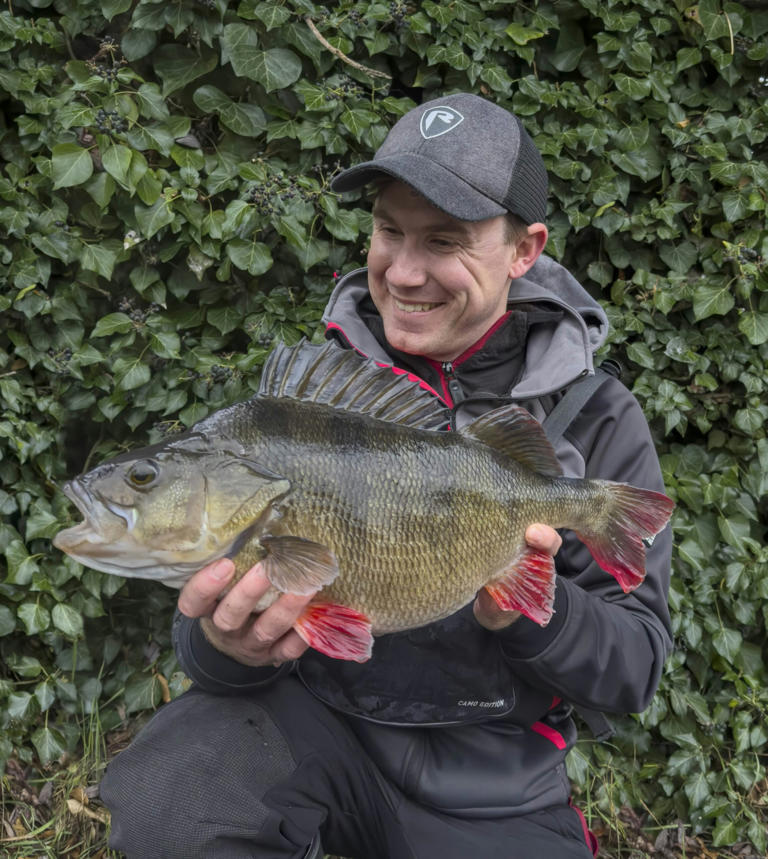 Massive River Thames perch tops incredible trio of fish