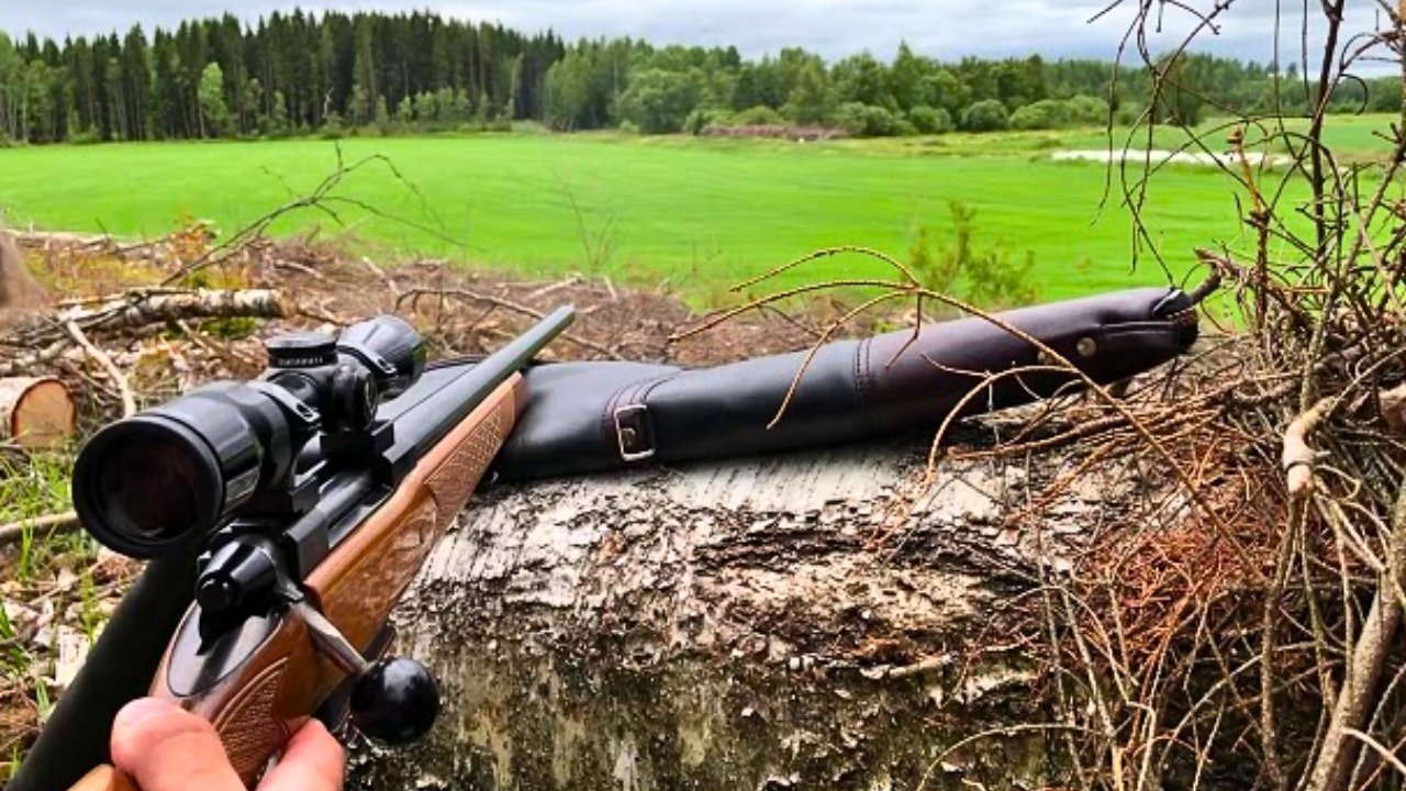 15 older rifles that still make today’s budget guns feel cheap