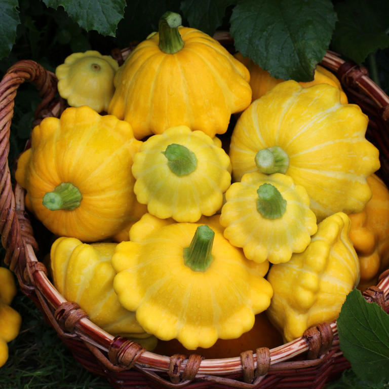 Grow these 7 vegetables at home to save money on your shopping bill