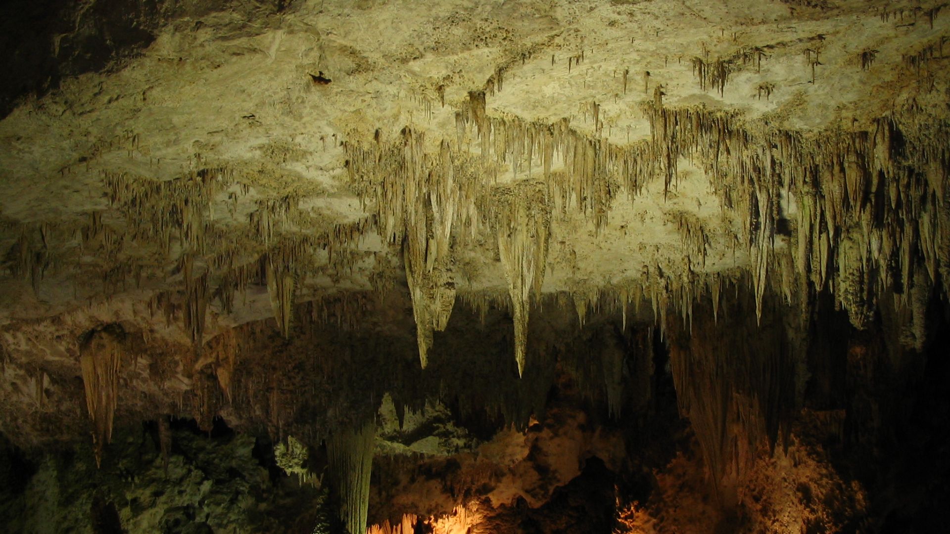 A scientist dug deep into a New Mexico cave system and found 49-million ...