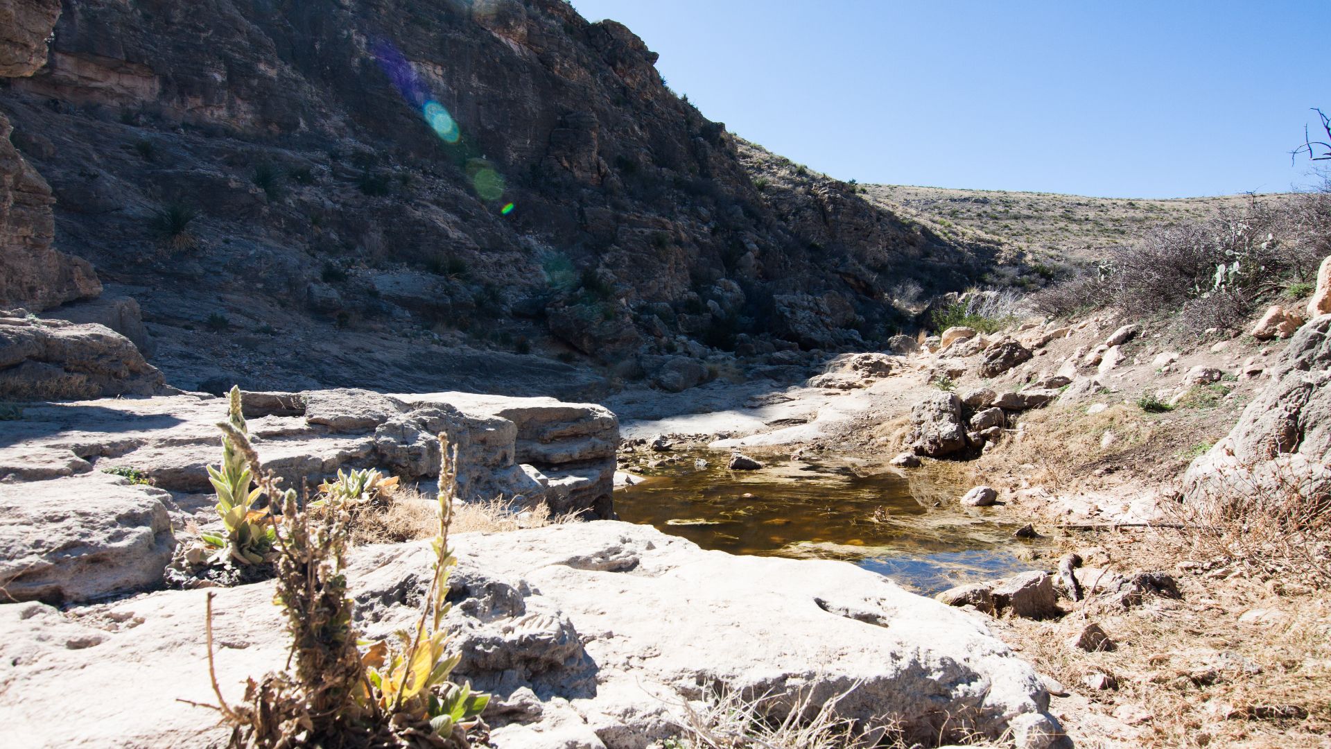 A scientist dug deep into a New Mexico cave system and found 49-million ...