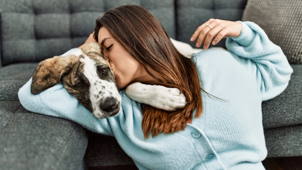 13 dog breeds that bond deeply with one person and rarely let go