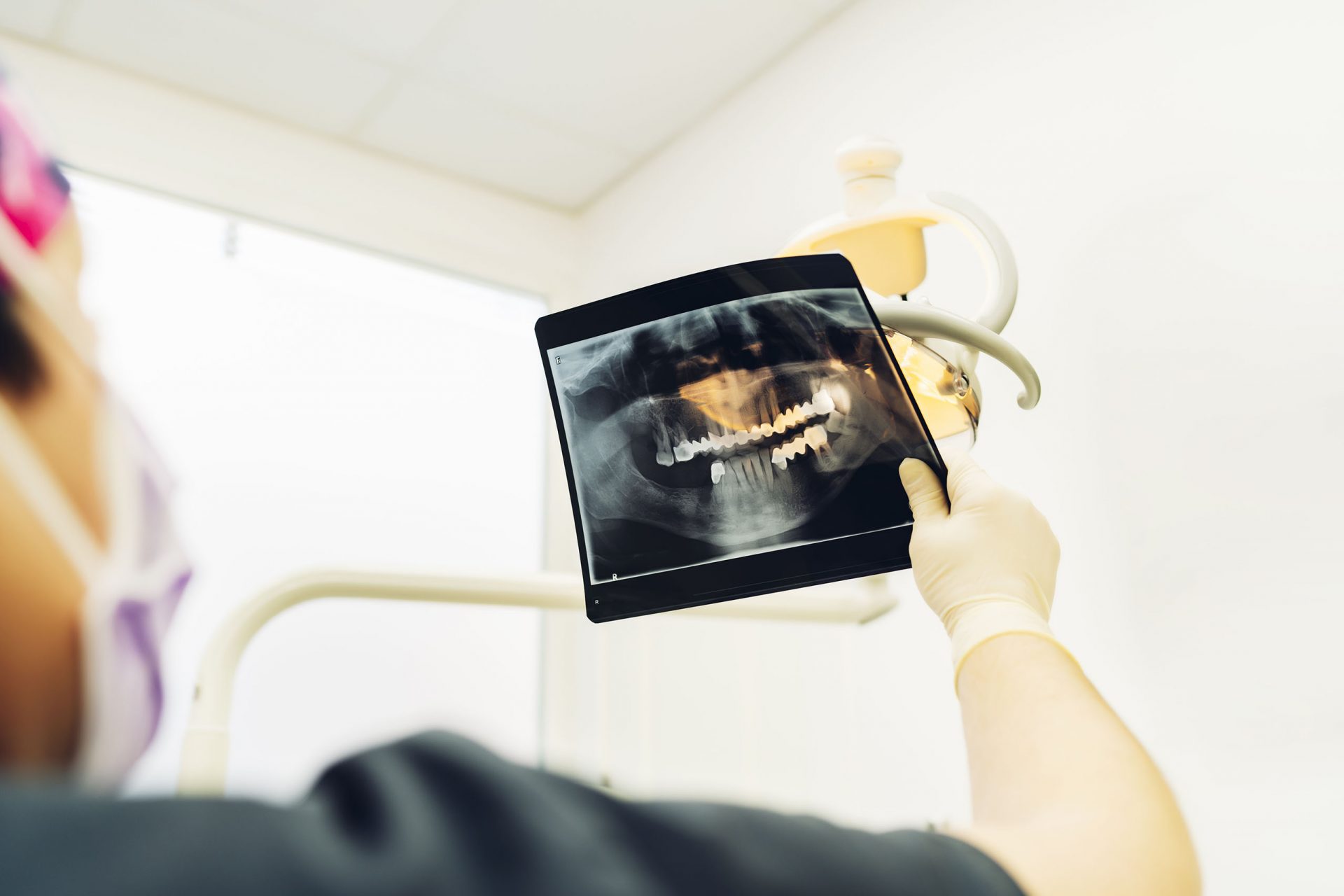 Comment faire repousser les dents ? Les pistes étudiées par la science