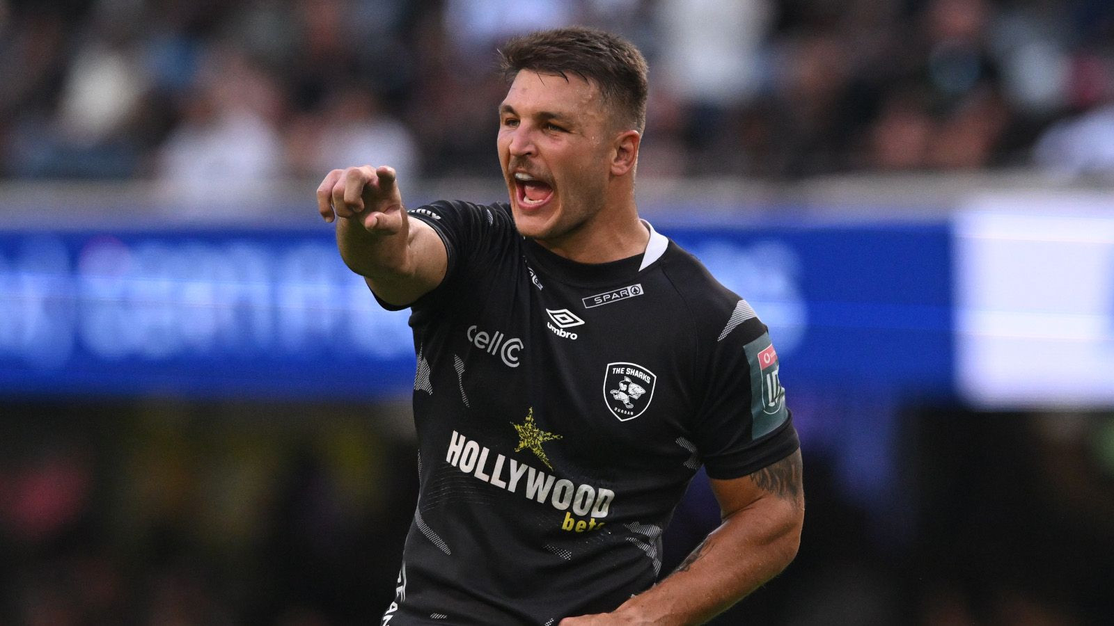 URC: Boks back in the fold as Sharks recall big guns for Loftus showdown