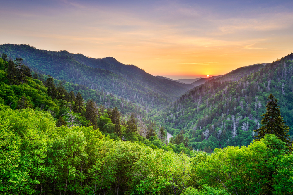 15 best hikes in the Great Smoky Mountains