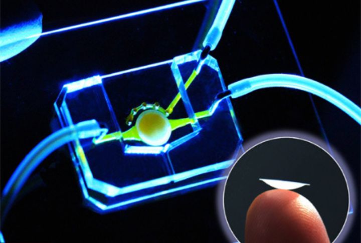 20 advancements that could push the boundaries of the human lifespan