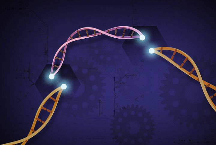 20 advancements that could push the boundaries of the human lifespan