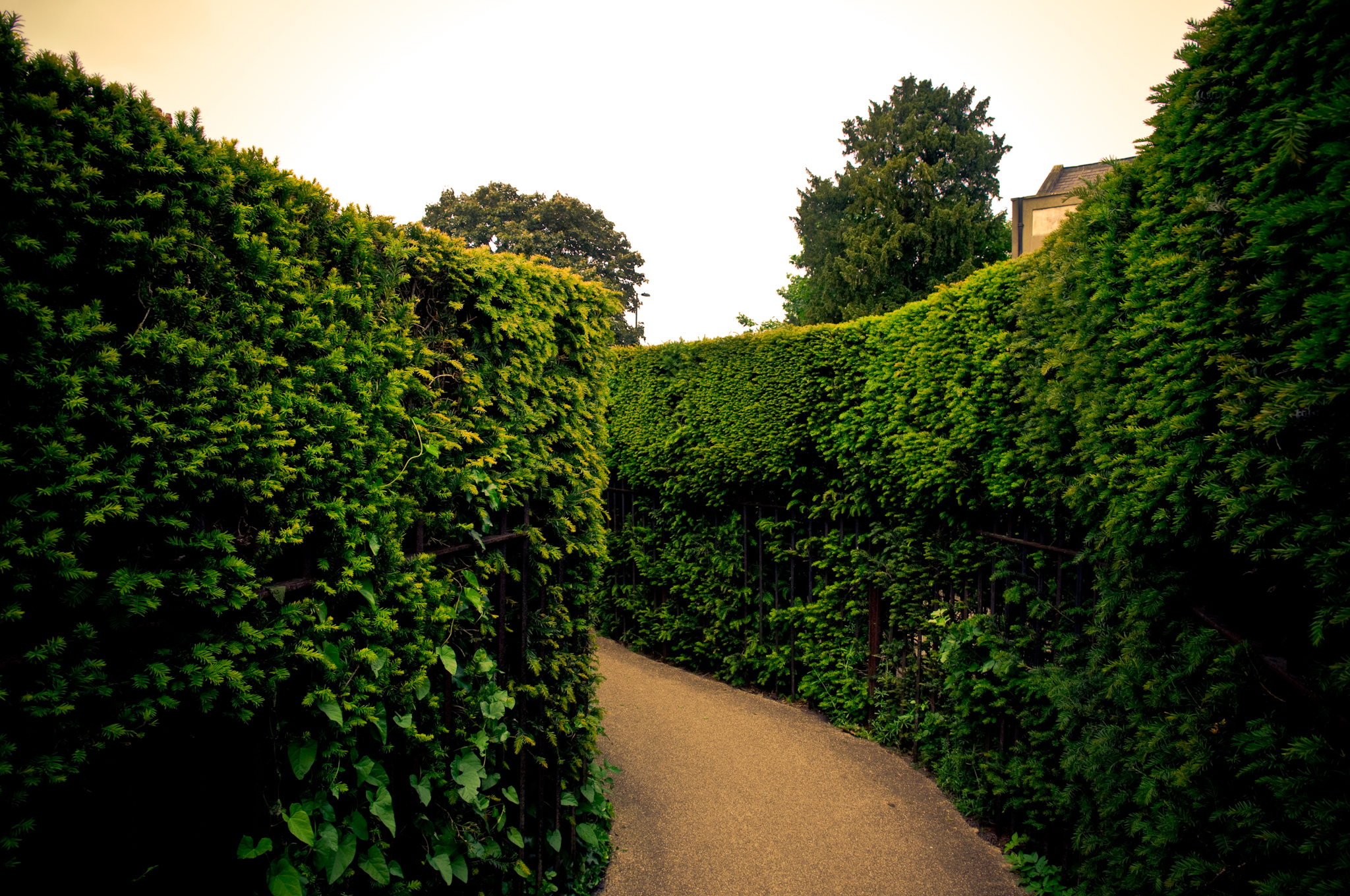 20 classic garden mazes and how to design your own