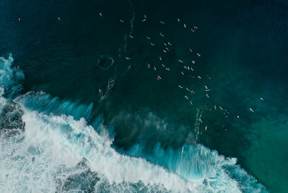 16 best surf spots for beginners and pros