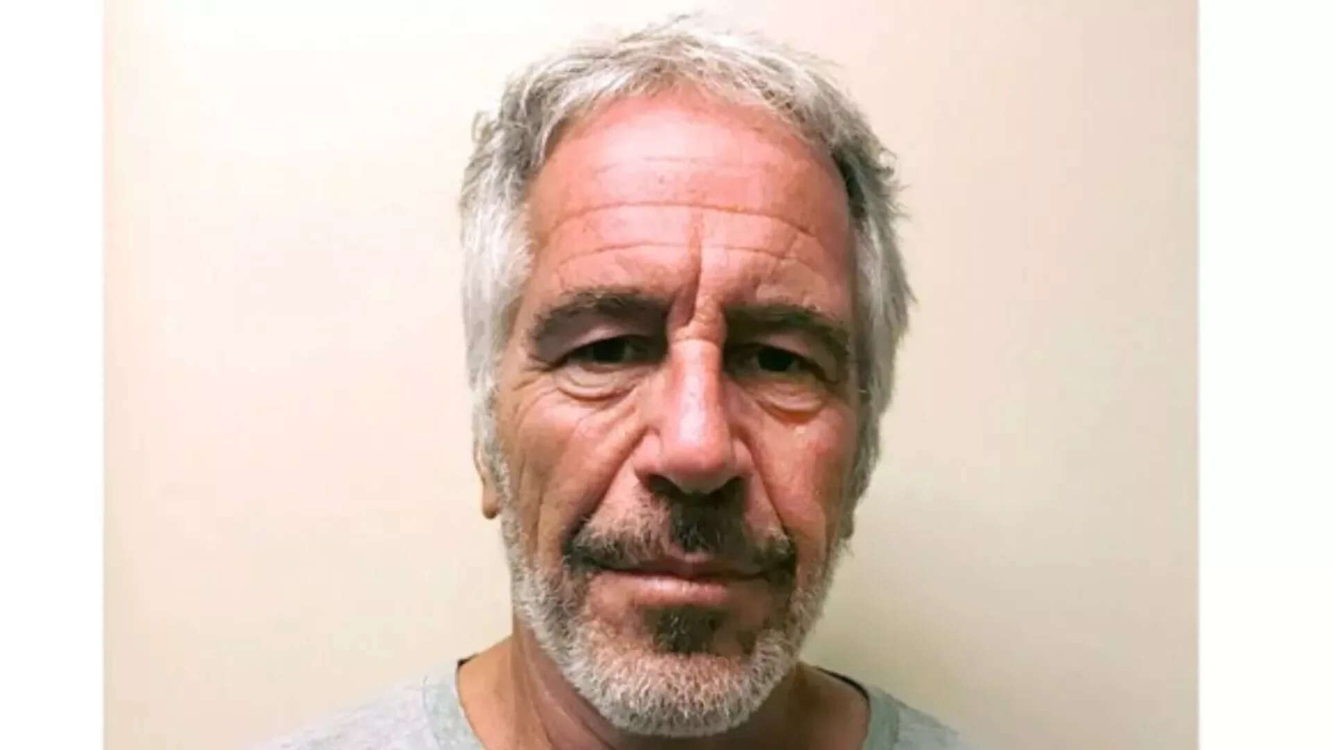 Harvard math professor Martin Nowak who got $6.5 million from Epstein ...