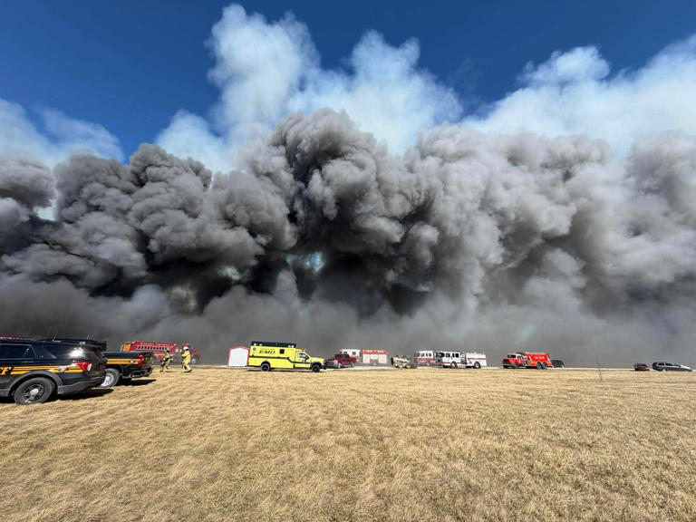 Fire at Ohio farm leaves around 6,000 hogs dead, smoke visible for miles