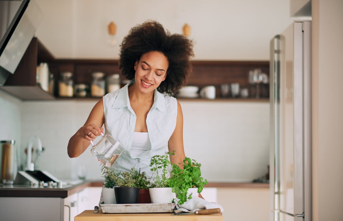 Stop buying overpriced herbs: How to start a kitchen garden for under $20